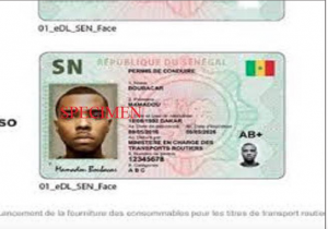 Diplomatie: Le permis de conduire sénégalais n’est
