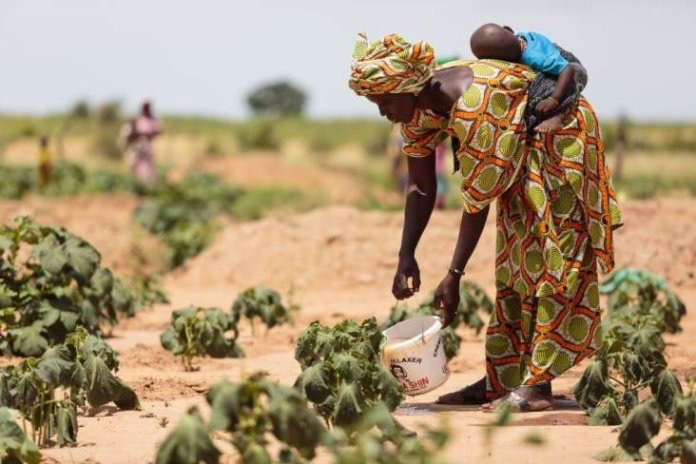 Classement IDH 2022 : Le Sénégal 170 sur 191 pays,